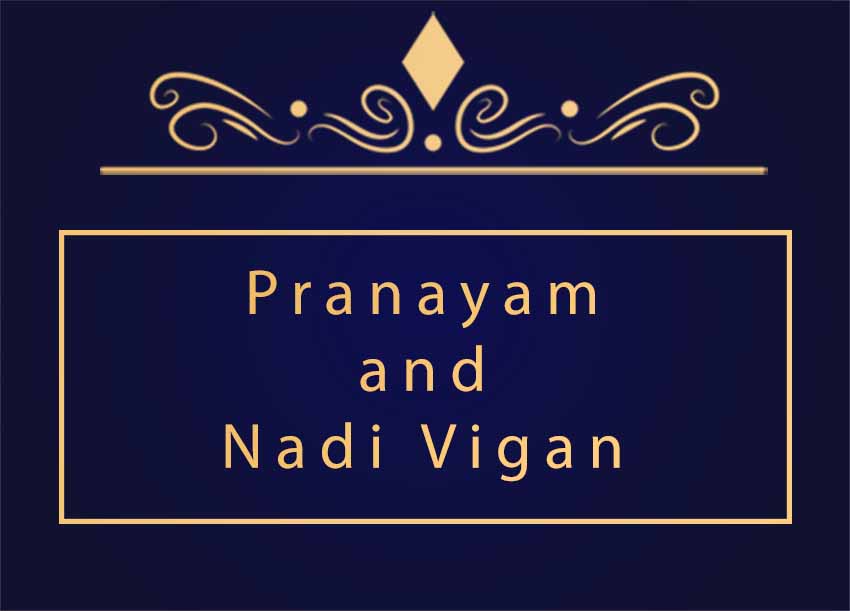 Guru for God » Pranayam and Nadi Vigan